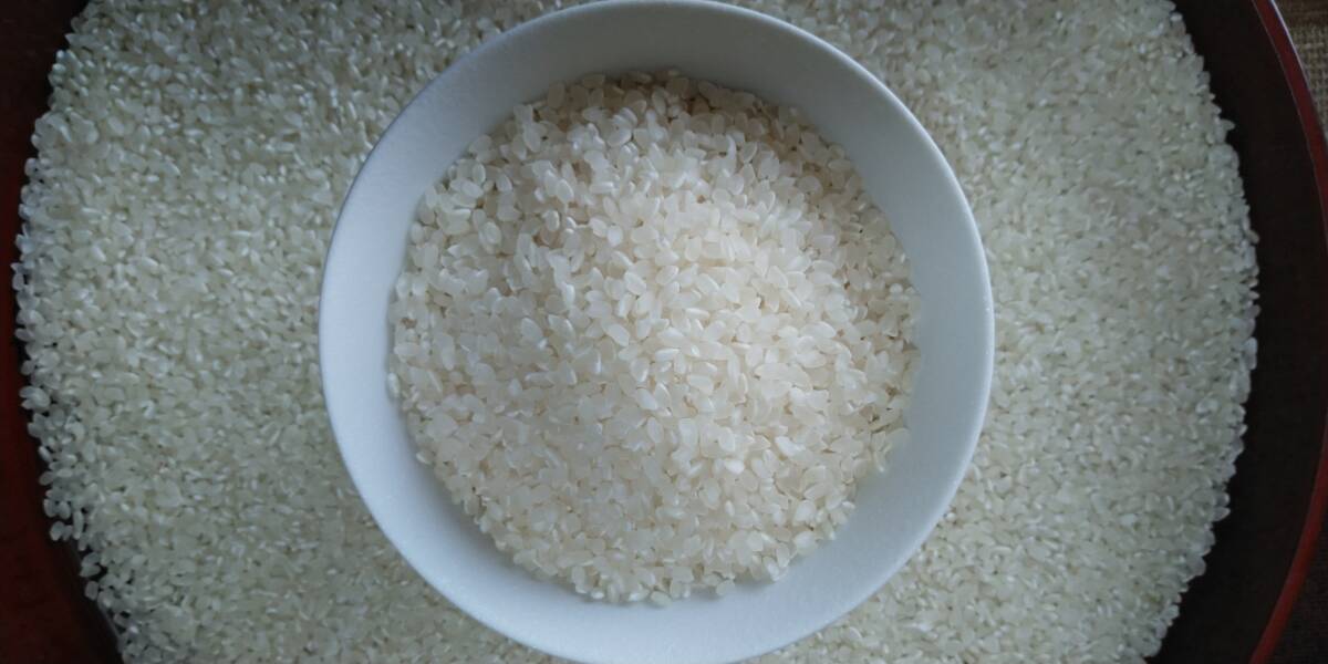 Yahoo!オークション - 新米 R6年産コシヒカリ 白米 10kg