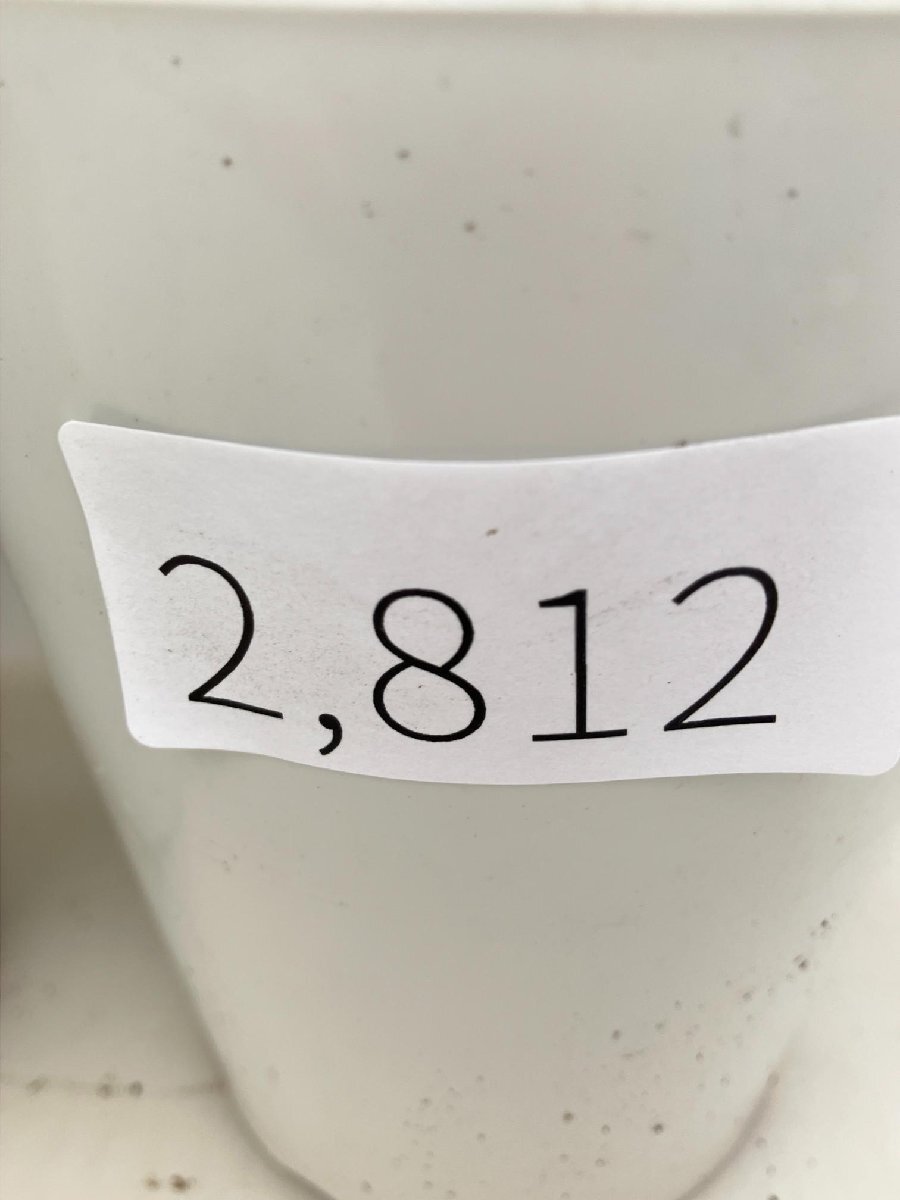 Yahoo!オークション - 2812 「果樹苗」斑入りレモンの木 3株セット【...