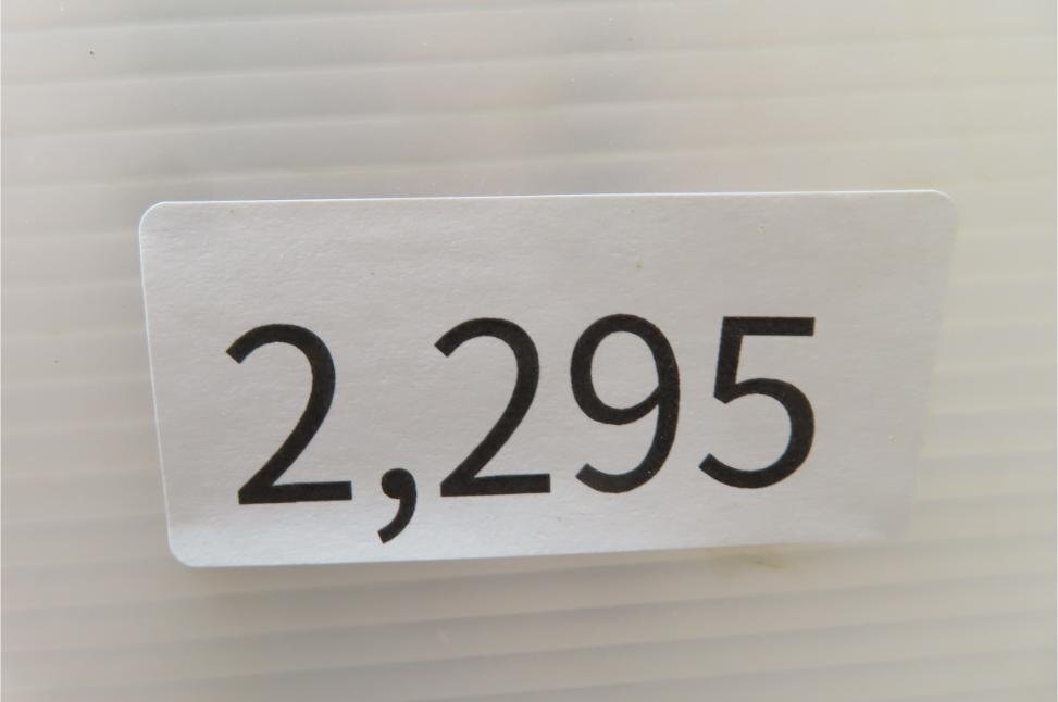 Yahoo!オークション - 2295 「塊根植物」パキポディウム グラキリスM ...