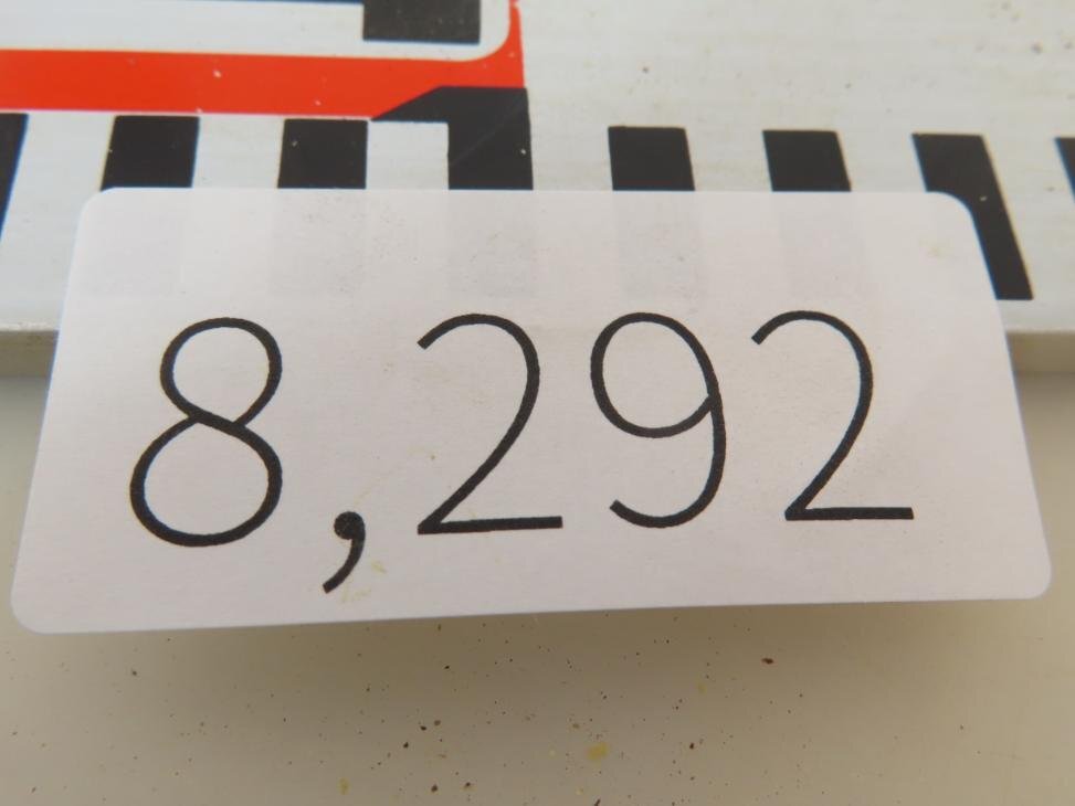 Yahoo!オークション - 8292 「塊根植物」パキポディウム グラキリス S ...