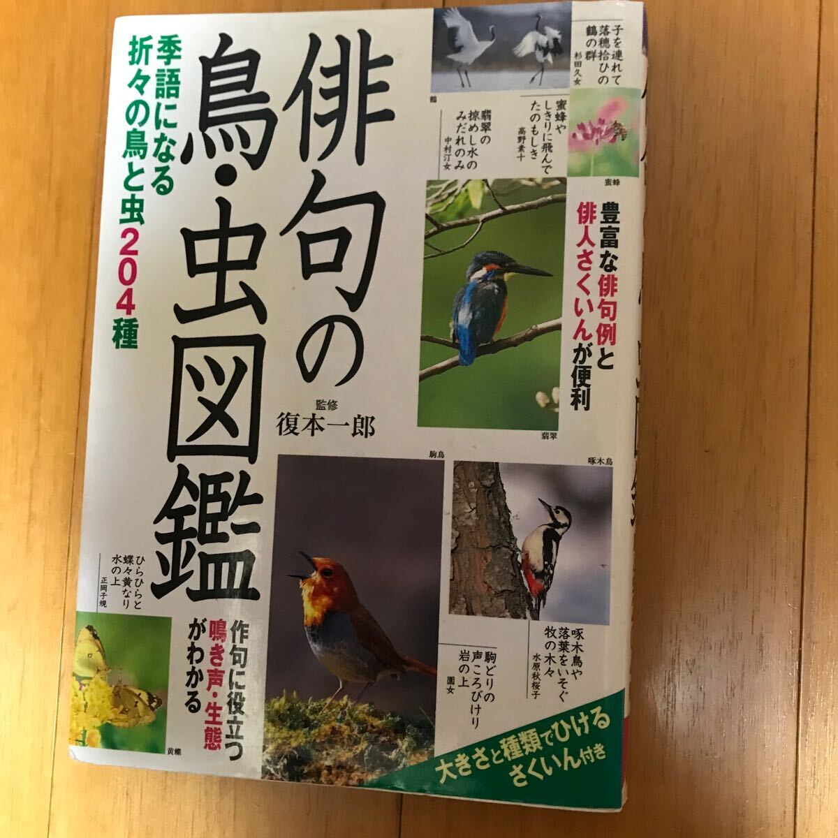 24b-3g12 俳句の鳥 虫図鑑: 季語になる折々の鳥と虫204種 4415029973 囀り 鶯 岩燕 鵤 岩雲雀 糸蜻蛉 空蝉 鶸 鈴虫 孔雀 鶏(生物学)｜売買されたオークション情報 ...