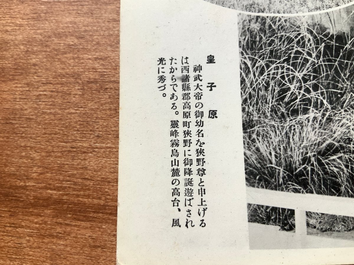 VV-5029 宮崎県 神話の日向 日向国 皇子原 神武天皇 神社 寺 宗教 天皇 レトロ 絵葉書 古書 古葉書 写真 古写真/くNAら(その他)｜売買されたオークション情報、yahooの商品 ...