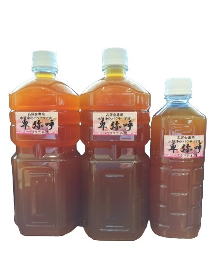 Yahoo!オークション - 【バクテリア本舗】PSB強化型 卑弥呼（2.5L）濃...
