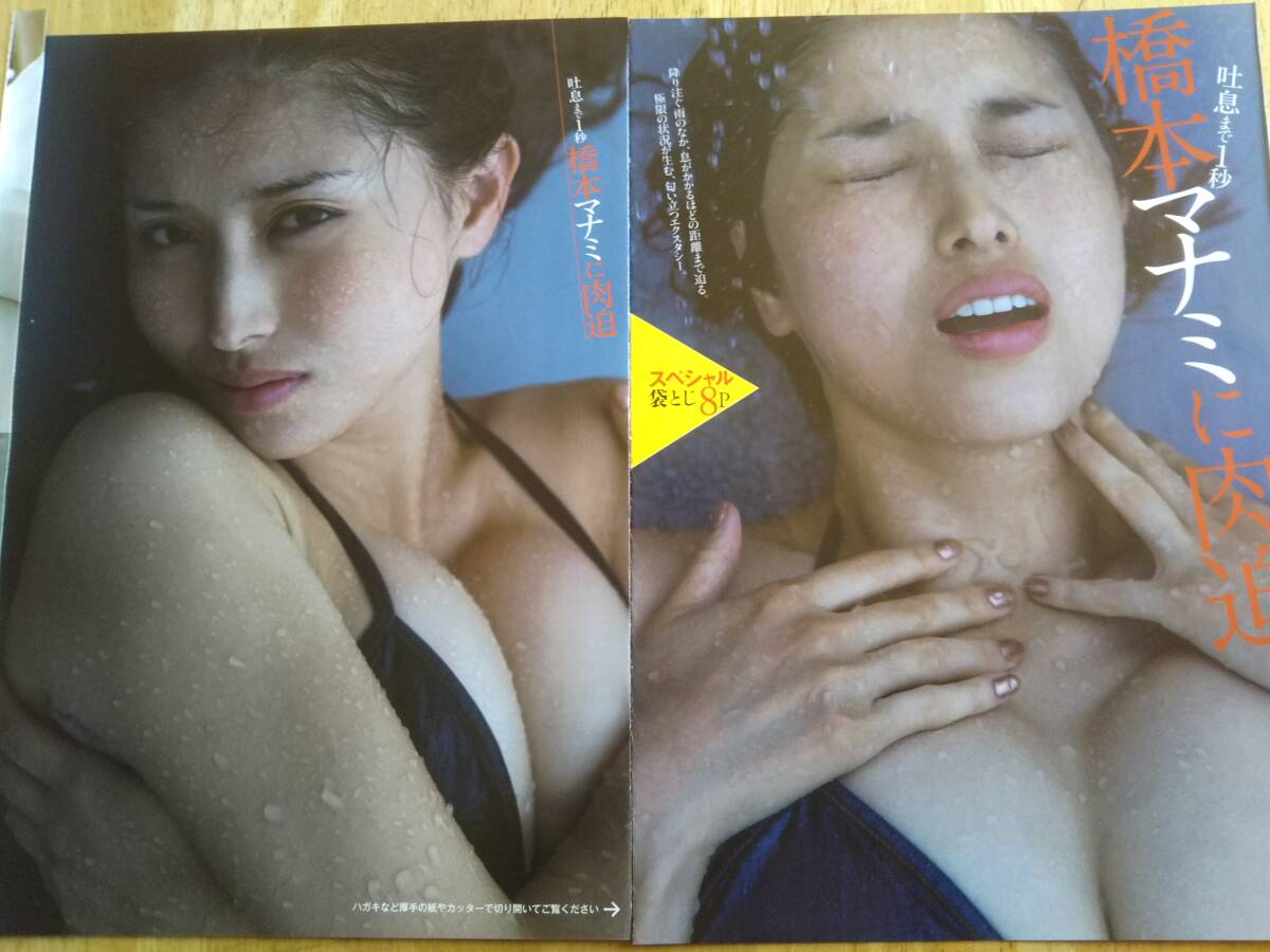 Yahoo!オークション - 橋本 マナミ 切り抜き 8P