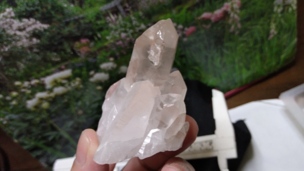 Yahoo!オークション - B0923-4ヒマラヤ水晶 ピンク112.5g