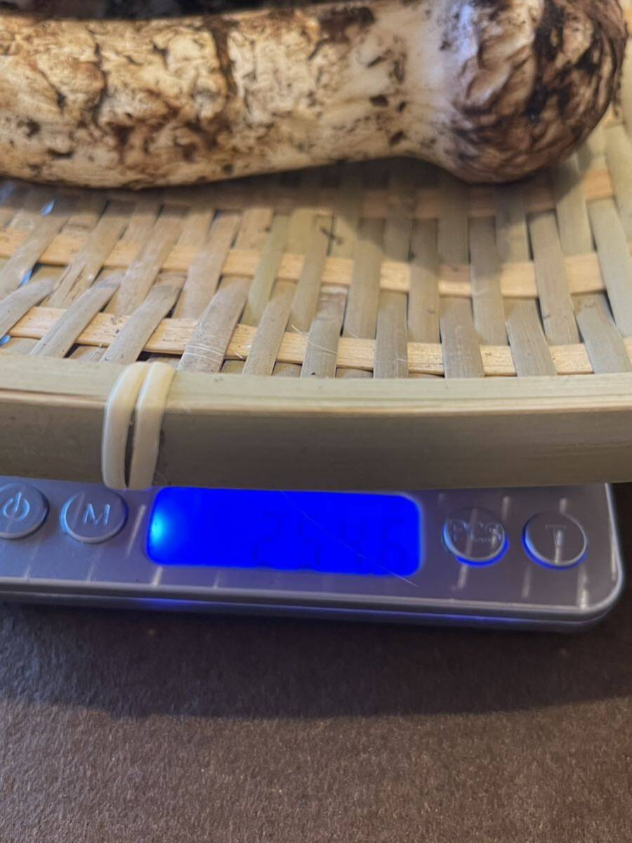 Yahoo!オークション - 極上の極み 長野県産 松茸 マツタケ 254g