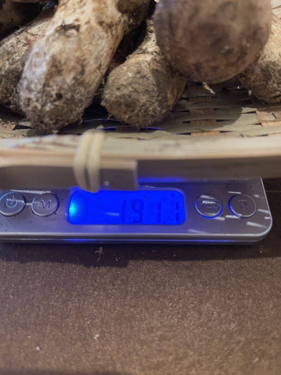 Yahoo!オークション - 良質ツボミ 長野県産 松茸 マツタケ 191g