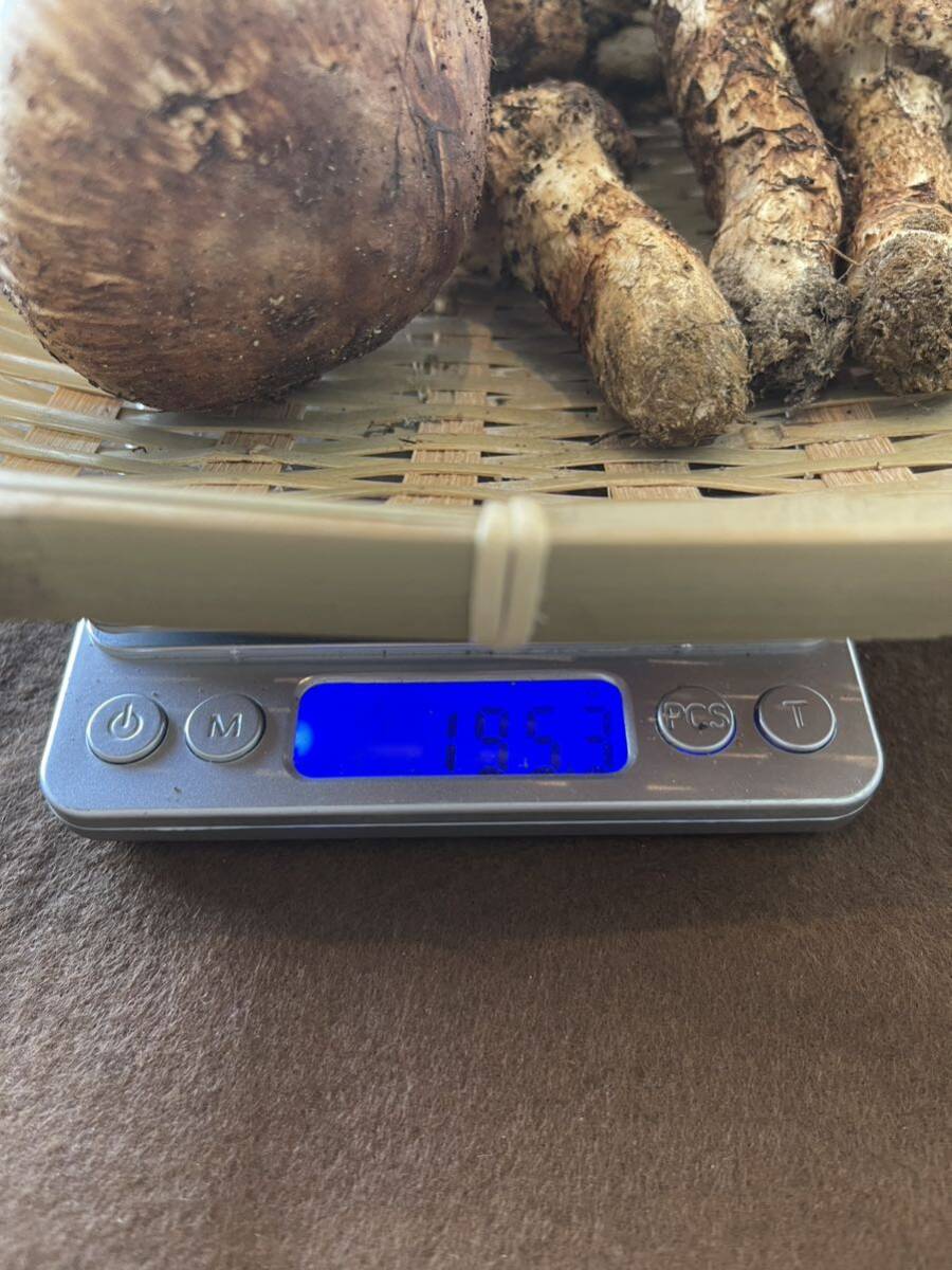 Yahoo!オークション - 長野県産 朝採れ 松茸 マツタケ 195g