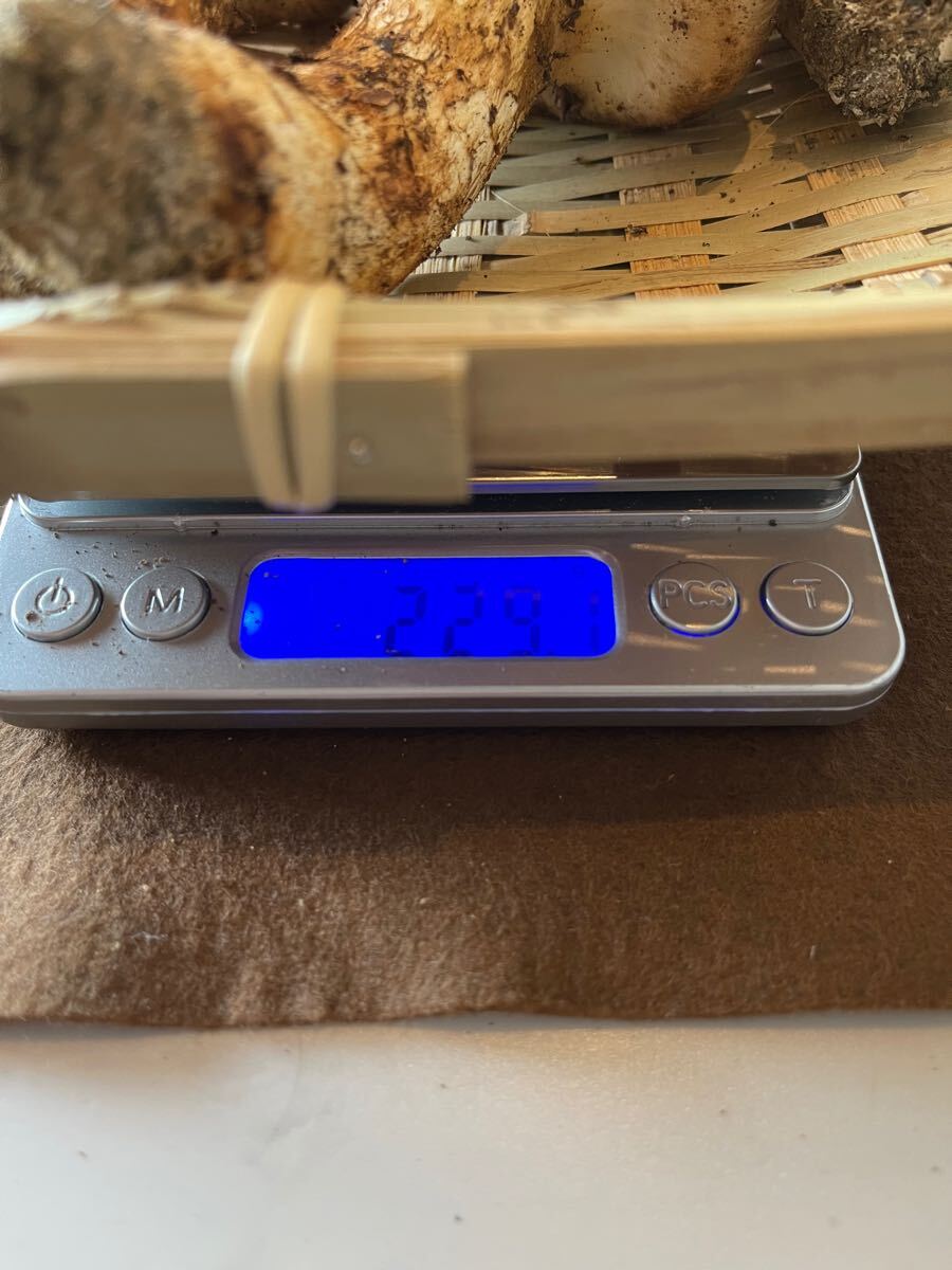 Yahoo!オークション - 長野県産 朝採れ 松茸 マツタケ 229g