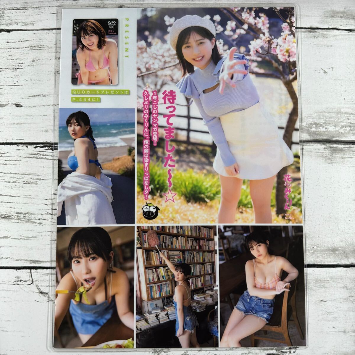 高品質ラミネート処理 田中美久 HKT48 ヤングマガジン2023年18号 雑誌 切り抜き 9P B5フィルム 水着 グラビア アイドル 芸能人 女優(タレント)｜売買されたオークション情報 ...