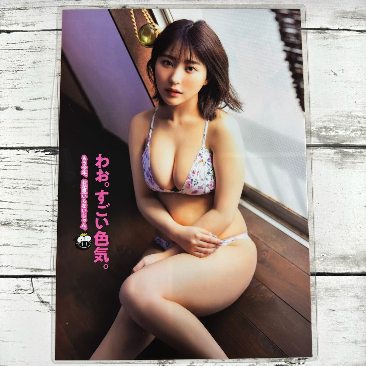 高品質ラミネート処理 田中美久 HKT48 ヤングマガジン2023年18号 雑誌 切り抜き 9P B5フィルム 水着 グラビア アイドル 芸能人 女優(タレント)｜売買されたオークション情報 ...