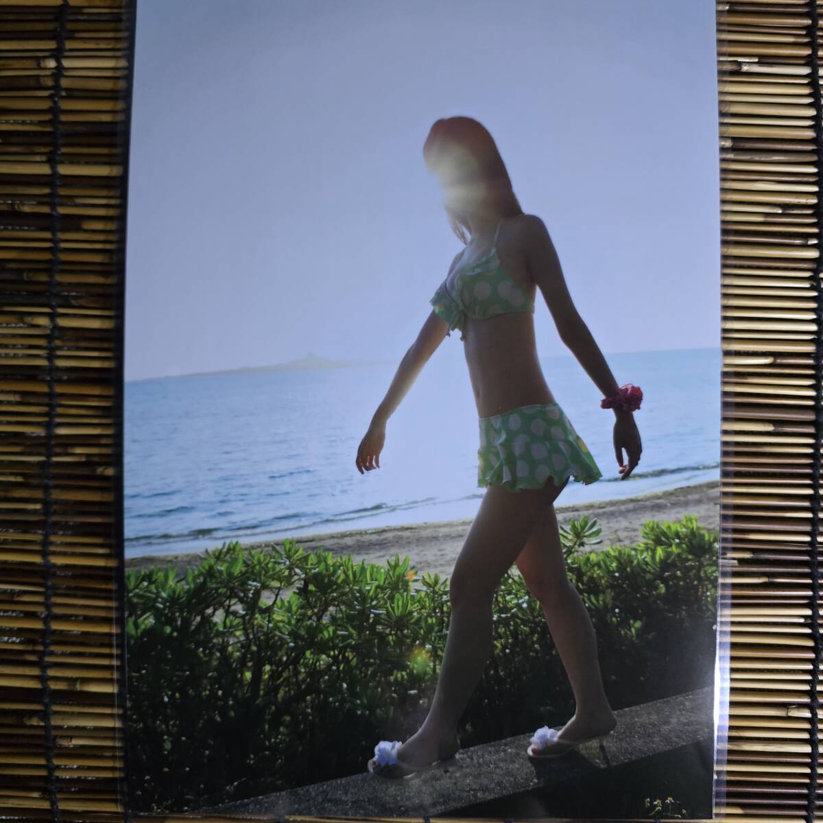 Yahoo!オークション - 【高品質厚手150μラミネート加工】柏木由紀 ...