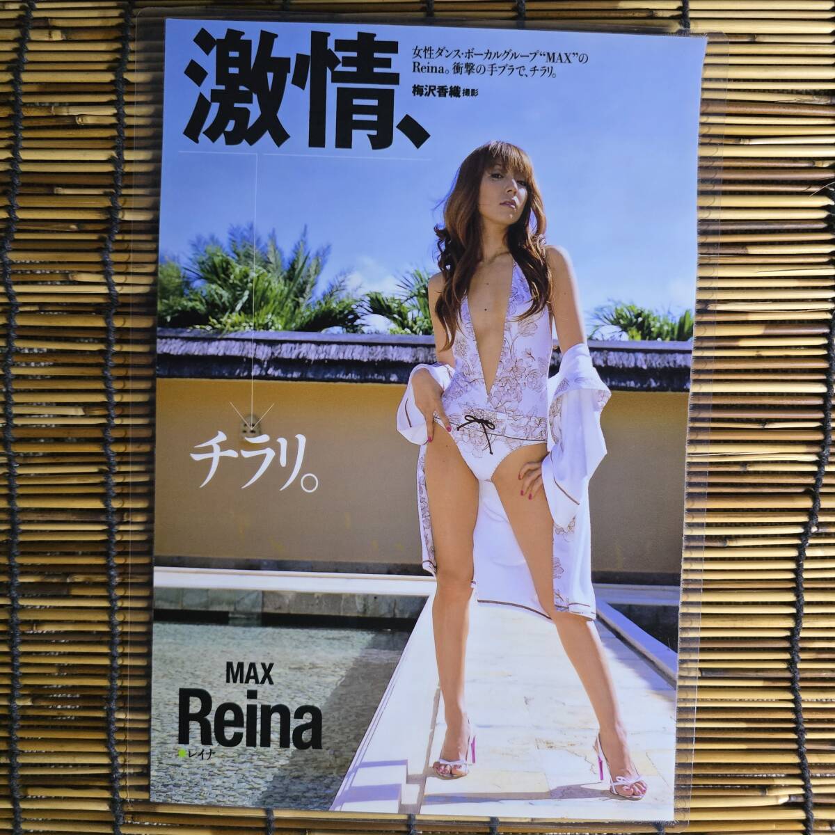 Yahoo!オークション - 【高品質厚手150μラミネート加工】MAX Reina ...