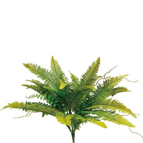 Yahoo!オークション - ポピー ボストンファーンブッシュ GLSK-0007 全...