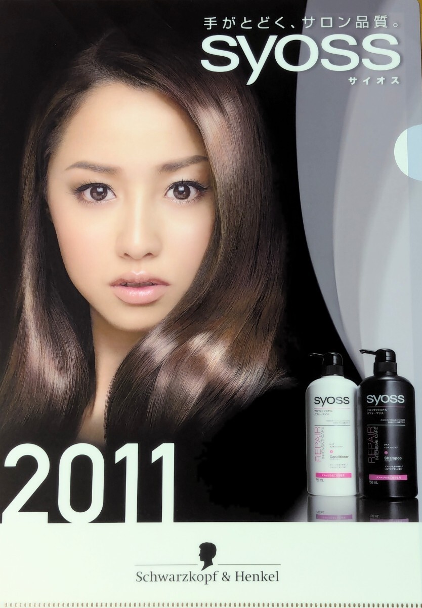 Yahoo!オークション - 新着New 沢尻エリカ 非売品クリアファイル／SYOS...