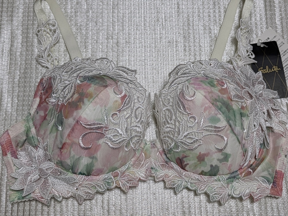 Yahoo!オークション - 新品タグ付 ワコール wacoal サルート salute E7...