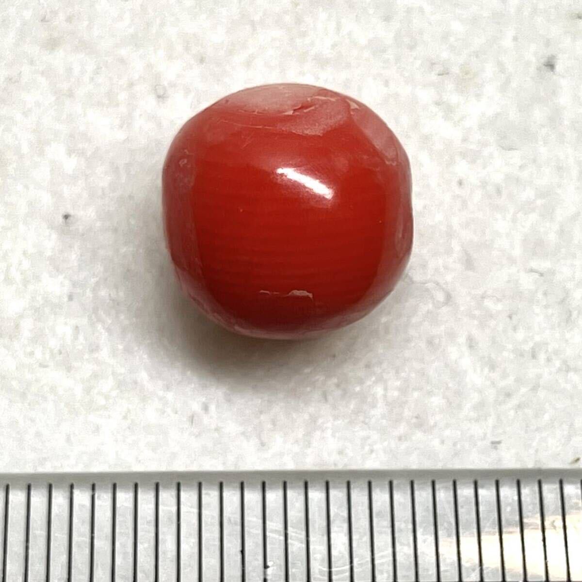 Yahoo!オークション - 天然本珊瑚7.33ct S 約11.7×11.7mm ルース ...