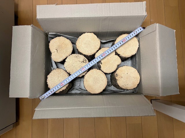 川口商会 能勢産 厳選 クヌギ コナラ飼育産卵木A'品 NO11 8本入(止まり木、ほだ木)｜売買されたオークション情報、yahooの商品情報をアーカイブ公開 - オークファン（aucfan.com）