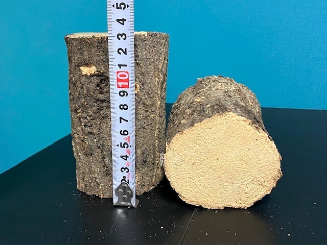 川口商会 能勢産 厳選 クヌギ コナラ飼育産卵木A'品 NO11 12本入(止まり木、ほだ木)｜売買されたオークション情報、yahooの商品情報をアーカイブ公開 - オークファン（aucfan ...
