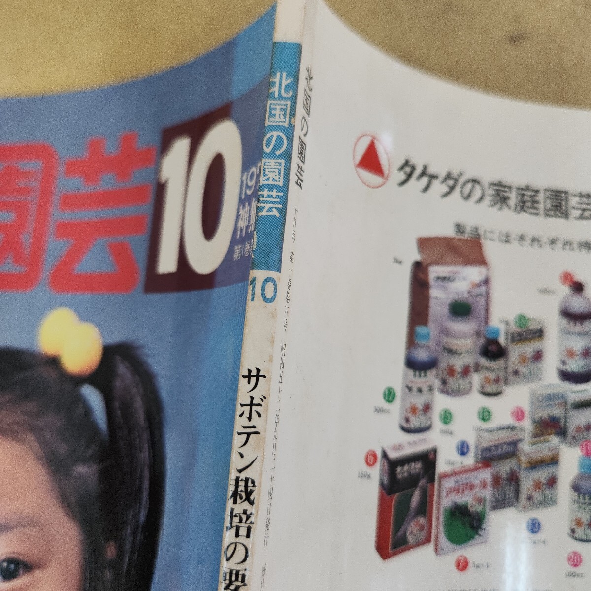 Yahoo!オークション - A07-097 北国の園芸 1977年 10月号 サボテン栽培...