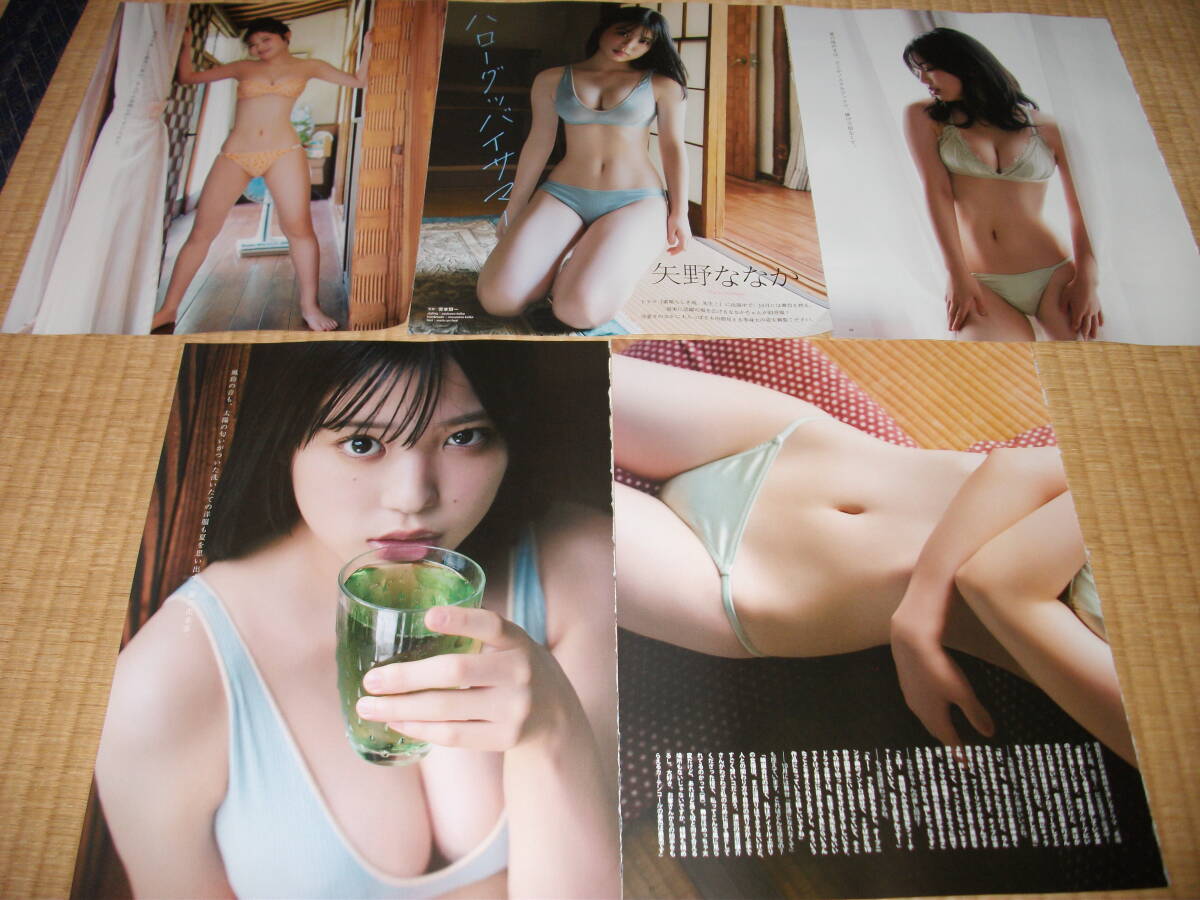 Yahoo!オークション - 矢野ななか Q73