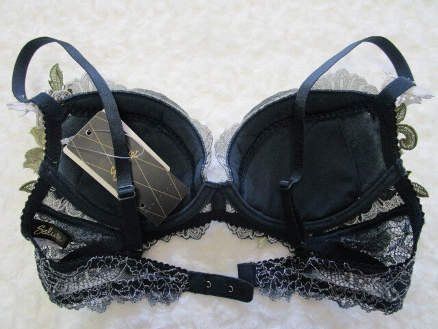 Yahoo!オークション - サルート[ルネッサンス]C65＆ソングM GBワコ...