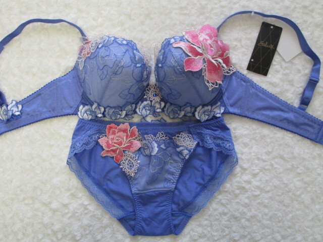 サルート ラピュタ E75＆ショーツM LGワコール76(75)｜売買されたオークション情報、yahooの商品情報をアーカイブ公開 - オークファン（aucfan.com）