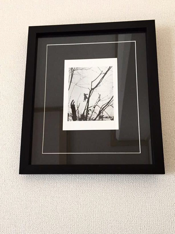 Yahoo!オークション - 【ウィリー・ロニ】16種展開パリ Willy Ronis 13...