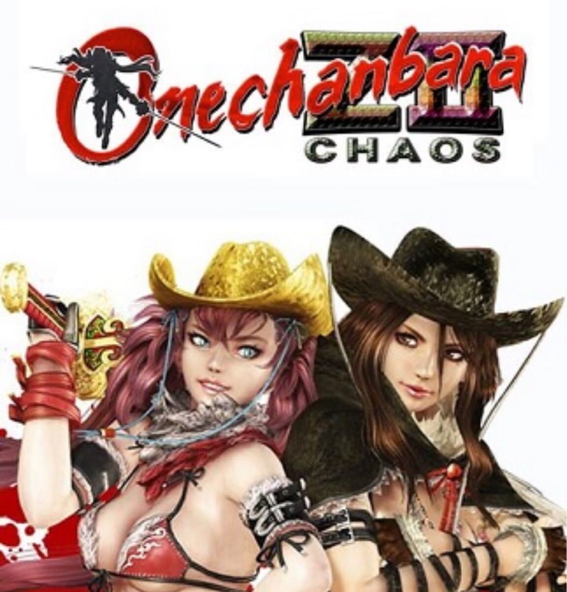 Onechanbara Z2 Chaos お姉チャンバラZ2 カオス 日本語対応 PC ダウンロード版 STEAM コード(アドベンチャー)｜売買されたオークション情報、yahooの商品情報を ...