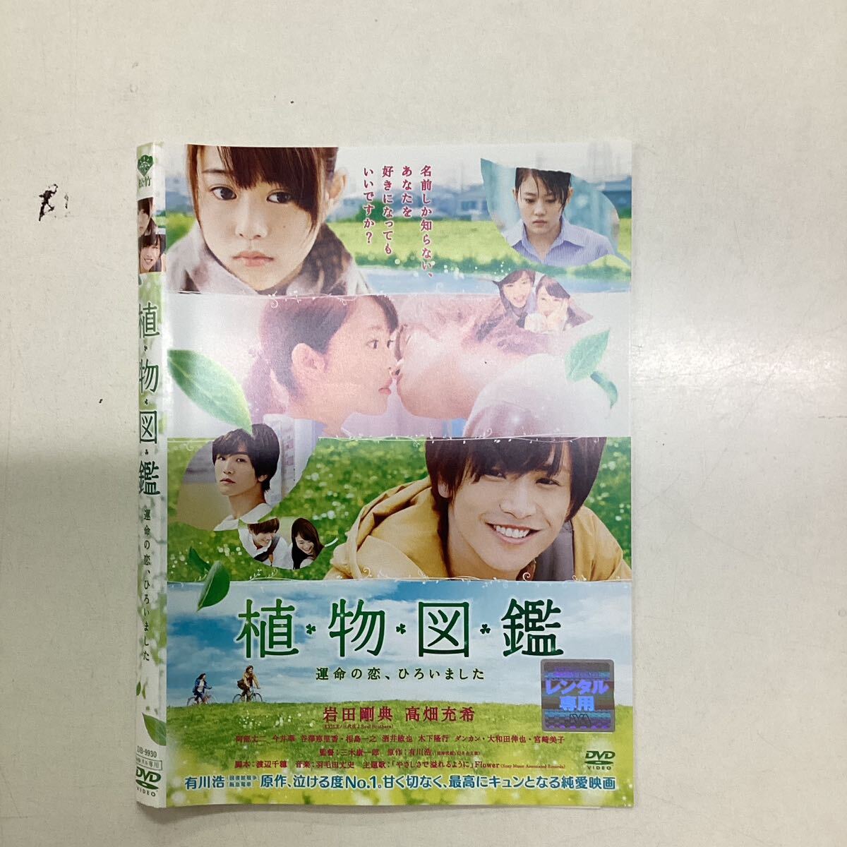 Yahoo!オークション - 【A55】DVD 植物図鑑 運命の恋 ひろいました レ...