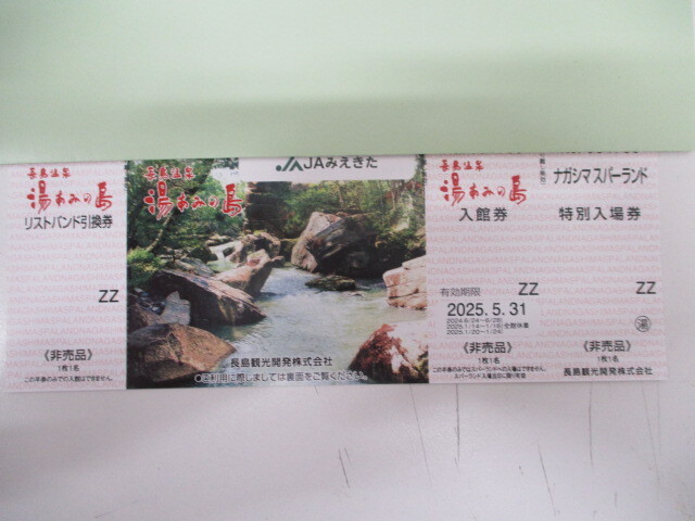 Yahoo!オークション - (8484) 長島温泉 湯あみの島 入館券 ナガシマス...