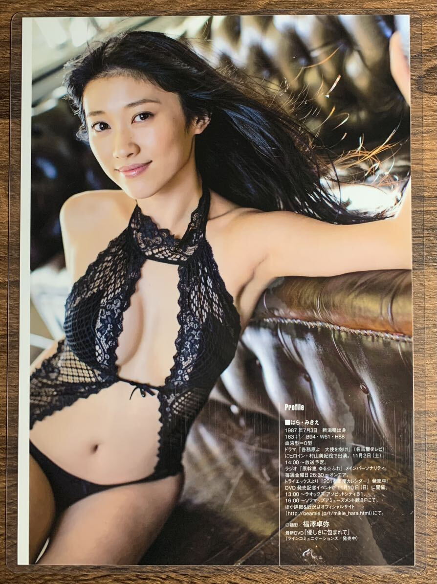 Yahoo!オークション - 【厚手ラミネート加工】原幹恵 水着 A4変サイズ ...