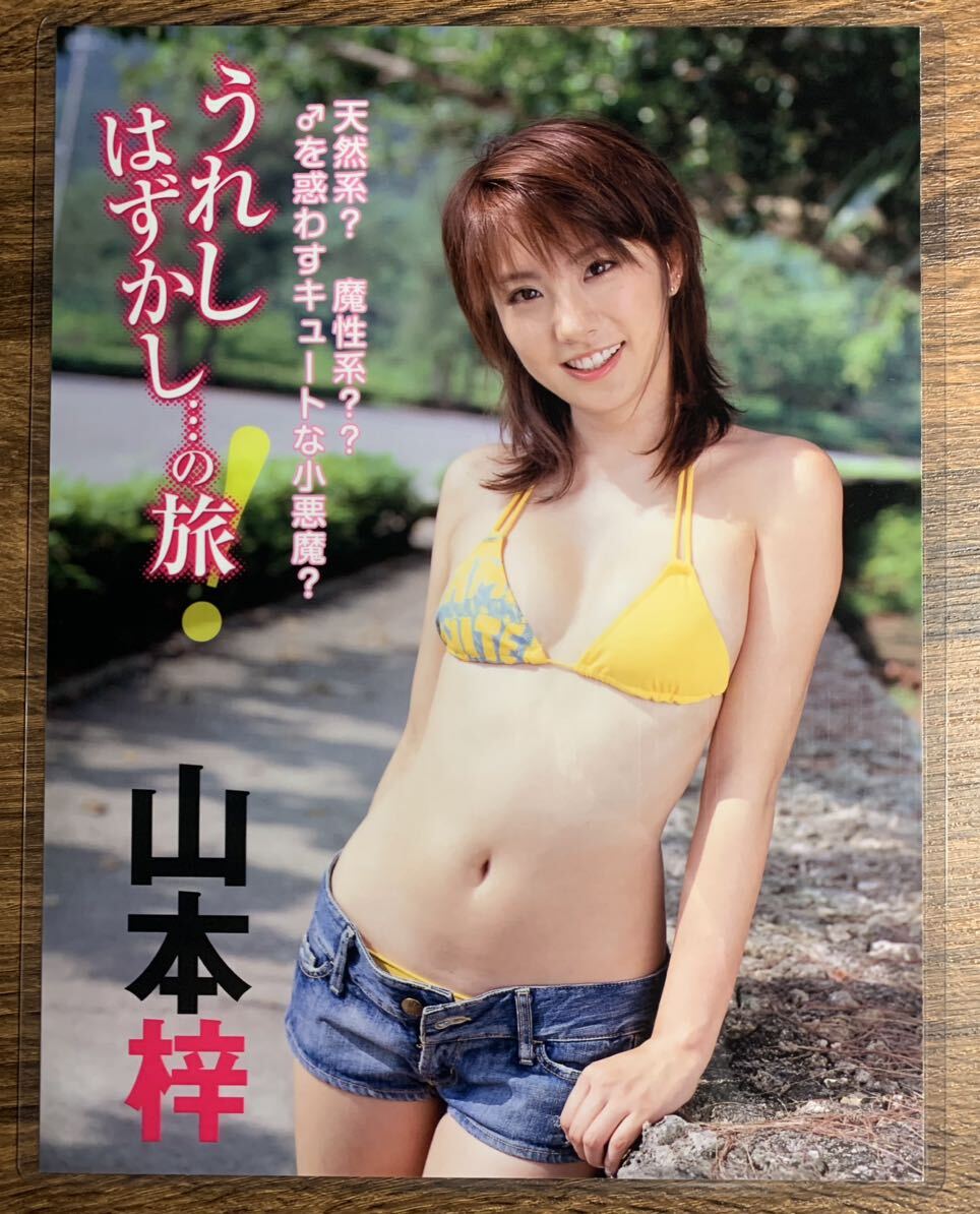 Yahoo!オークション - 【厚手ラミネート加工】山本梓 水着 A4変サイズ ...