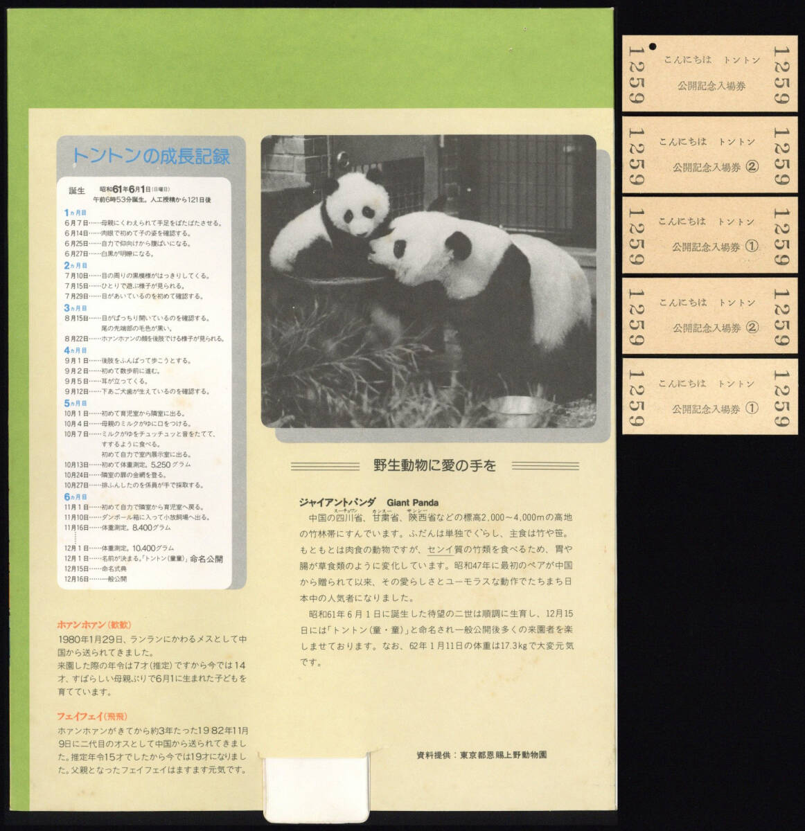 Yahoo!オークション - S62 こんにちはトントン公開記念入場券 上野駅 2...