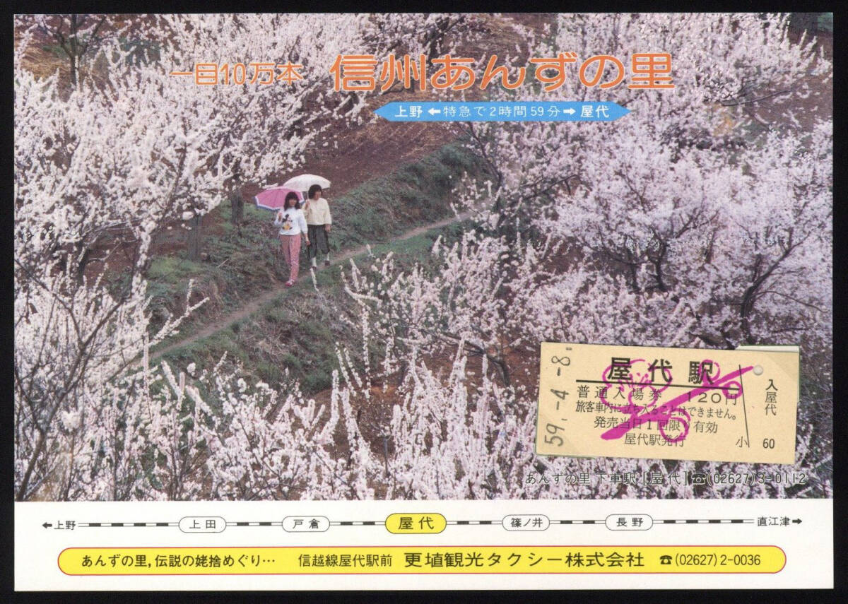 Yahoo!オークション - S59 信州あんずの里 観光入場券 2種