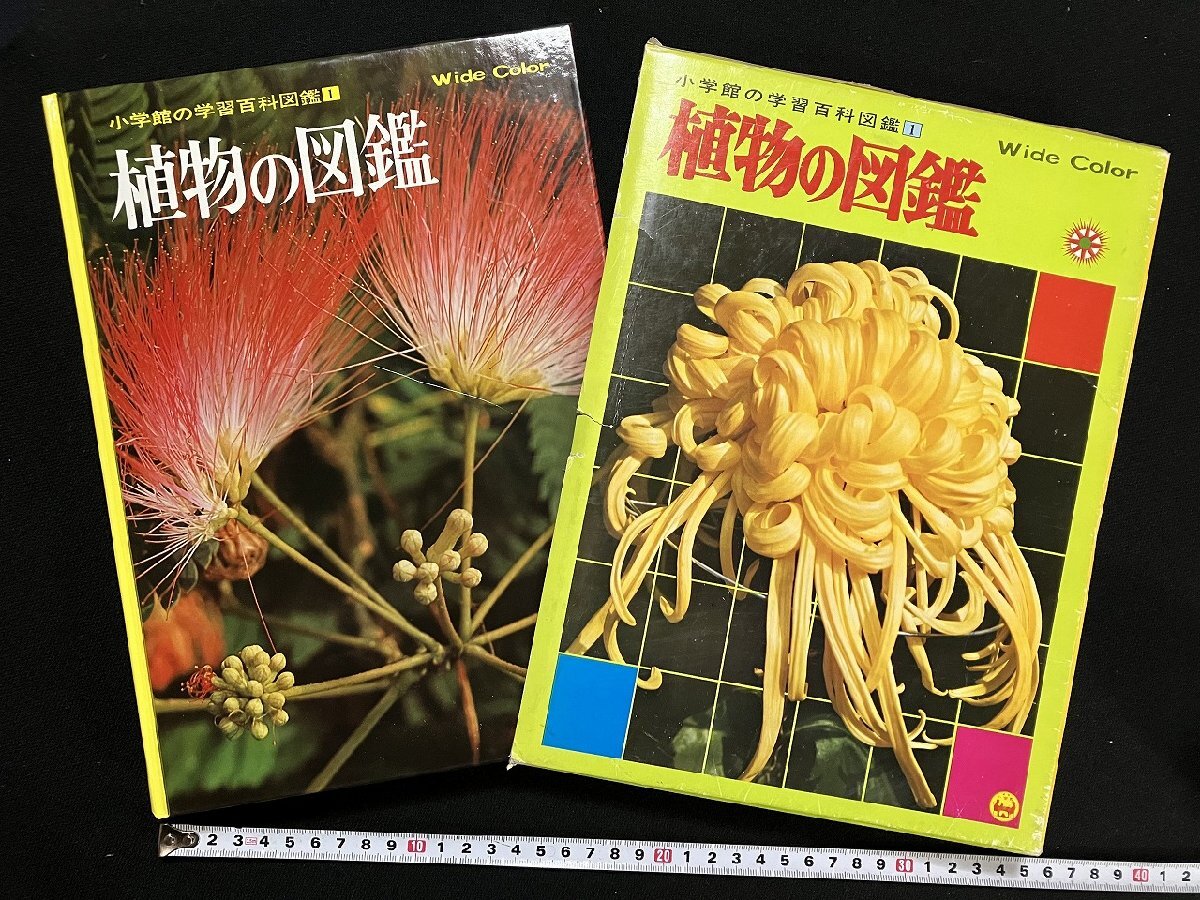 Yahoo!オークション - g 植物の図鑑 昭和55年 小学館の学習百科図鑑1 ...