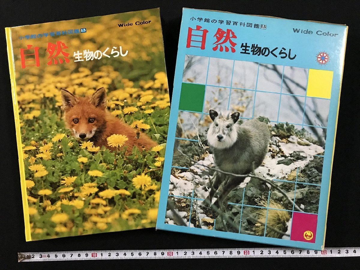 w 自然 生物のくらし 小学館の学習百科図鑑13 昭和56年8刷 小学館 古書 / De02(図鑑)｜売買されたオークション情報、yahooの商品情報をアーカイブ公開 - オークファン ...