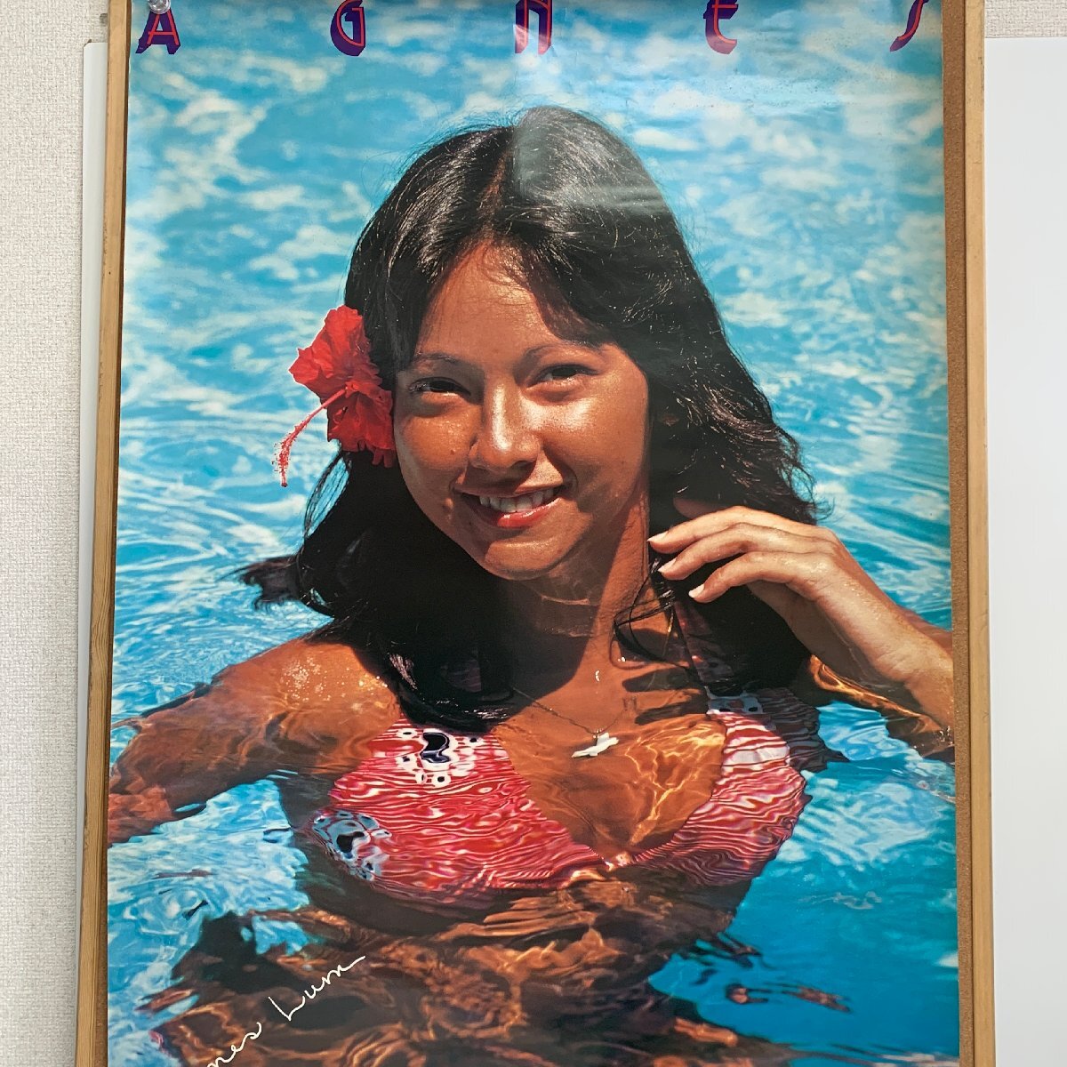 B1ポスター アグネス ラム Agnes Lum クラリオン Clarion 水着 ハイビスカス ＜103×72.5cm＞(あ行)｜売買されたオークション情報、yahooの商品情報をアーカイブ ...