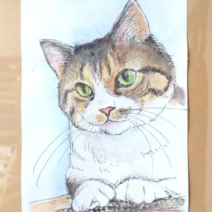 手描き 猫の絵 ねこ イラスト 絵 一点もの 原画|Yahoo!フリマ 手描き 猫の絵 ねこ イラスト 絵 一点もの 原画|Yahoo!フリマ