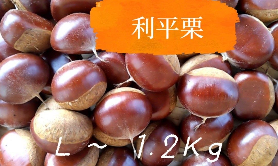 生栗 利平栗 Lサイズ以上 1 2Kg｜Yahoo!フリマ（旧PayPayフリマ）