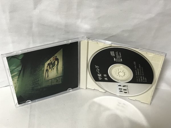 Yahoo!オークション - G539 甲斐バンド / 誘惑