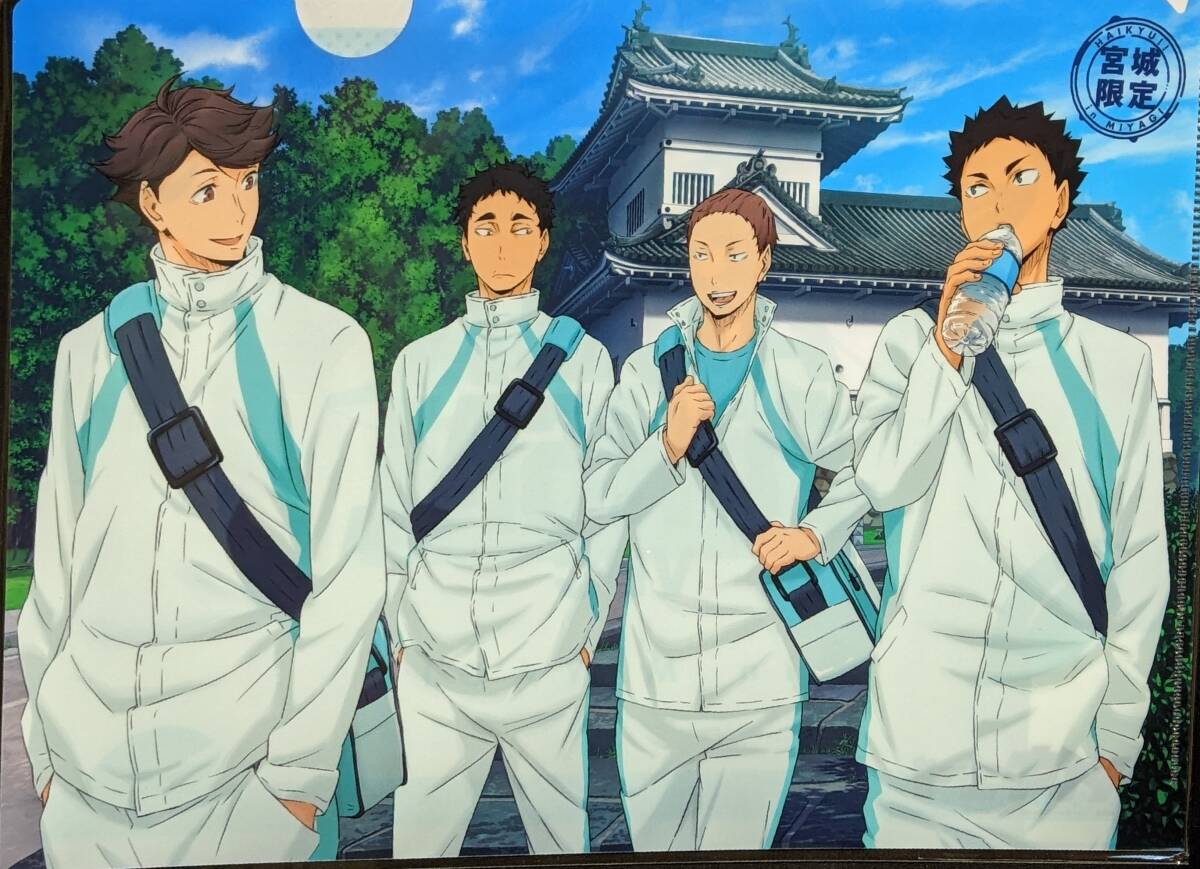 Yahoo!オークション - p040 クリアファイル ハイキュー エンスカイ 宮...