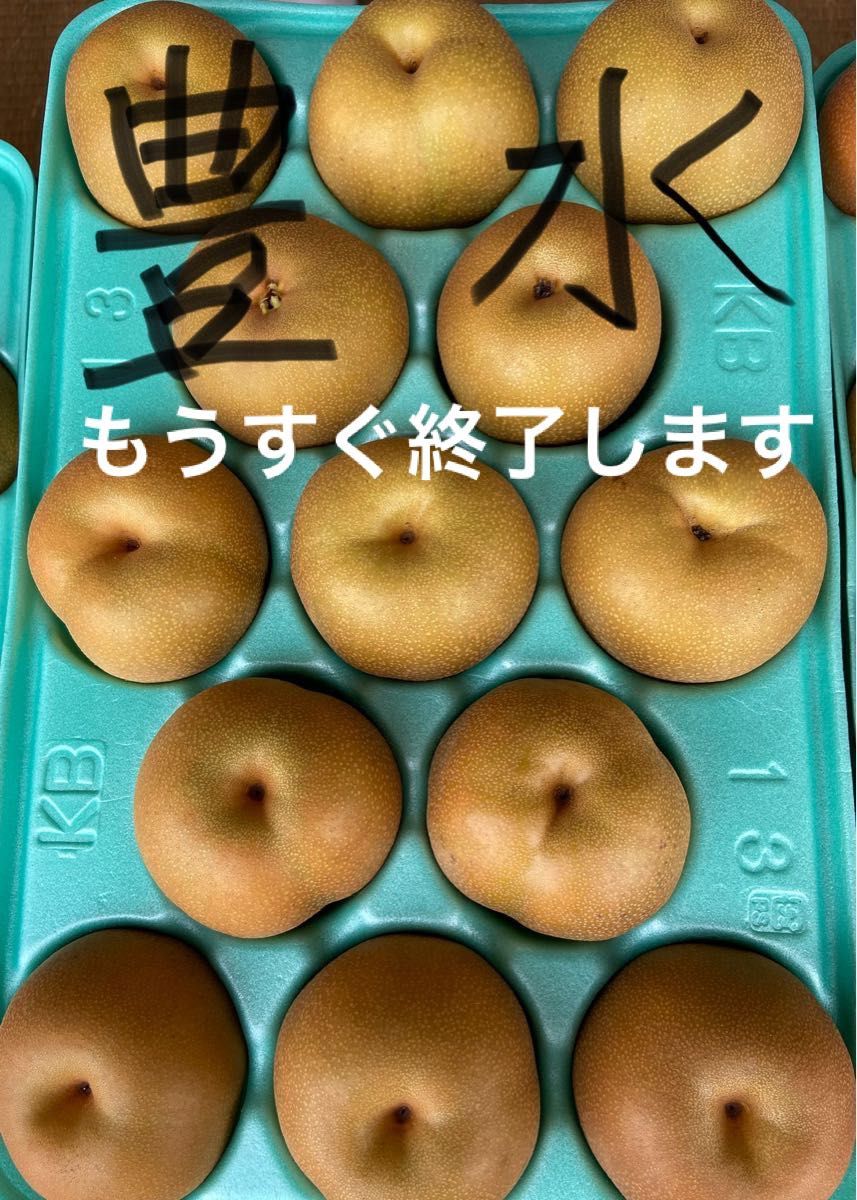 茨城県産 豊水梨 5㎏3Lサイズ｜Yahoo!フリマ（旧PayPayフリマ）