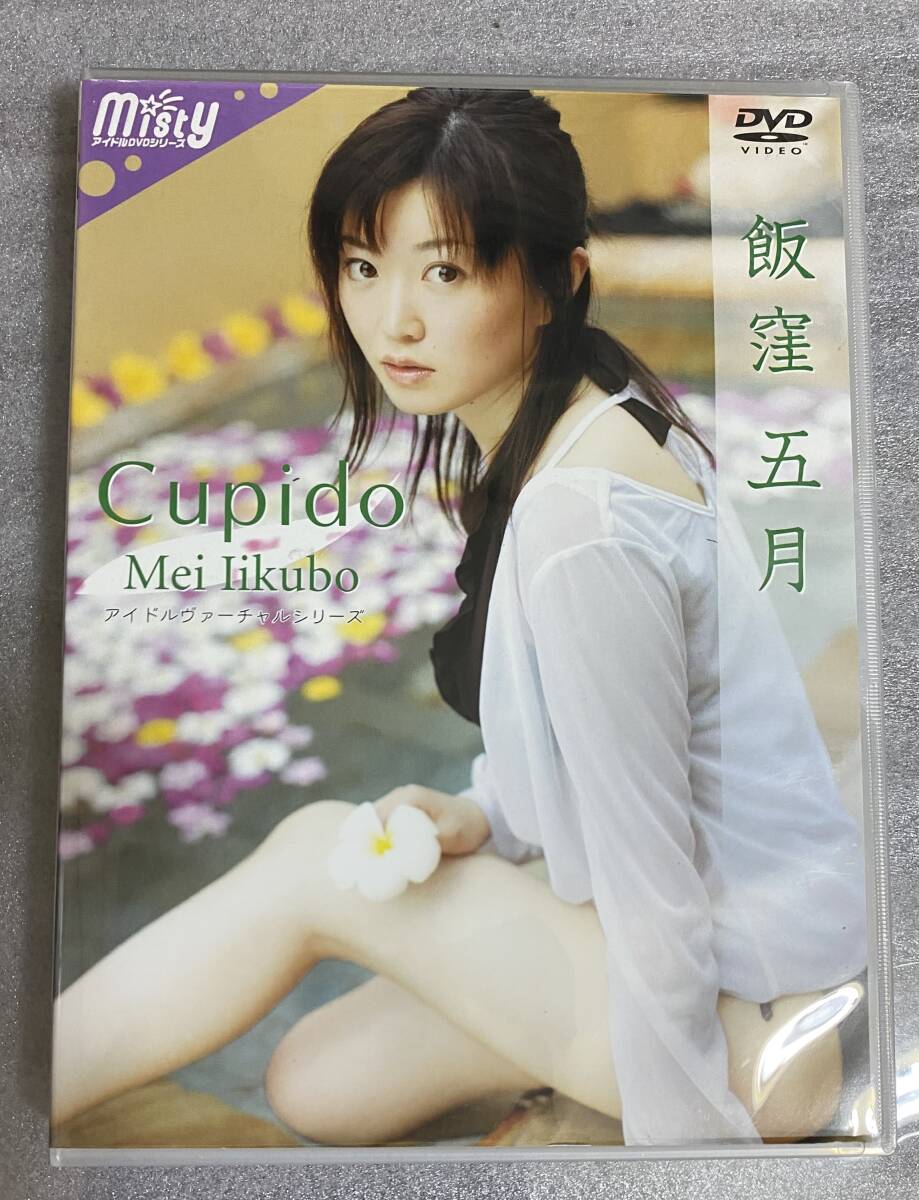 Yahoo!オークション - DVD 飯窪五月『Cupido』
