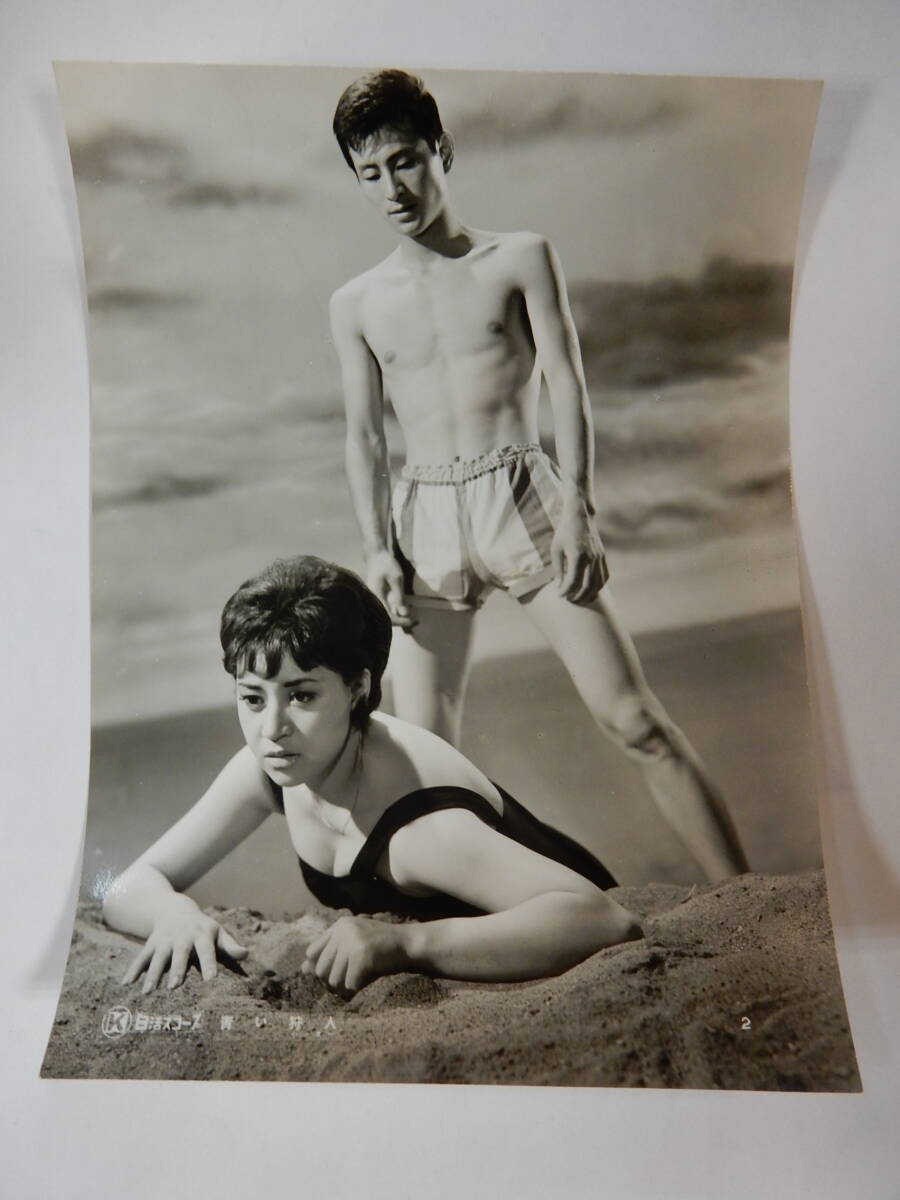 スチール写真4 青い狩人 川地民夫 香月美奈子 石原慎太郎原作 1961 日活(写真)｜売買されたオークション情報、yahooの商品情報をアーカイブ公開 - オークファン（aucfan.com）