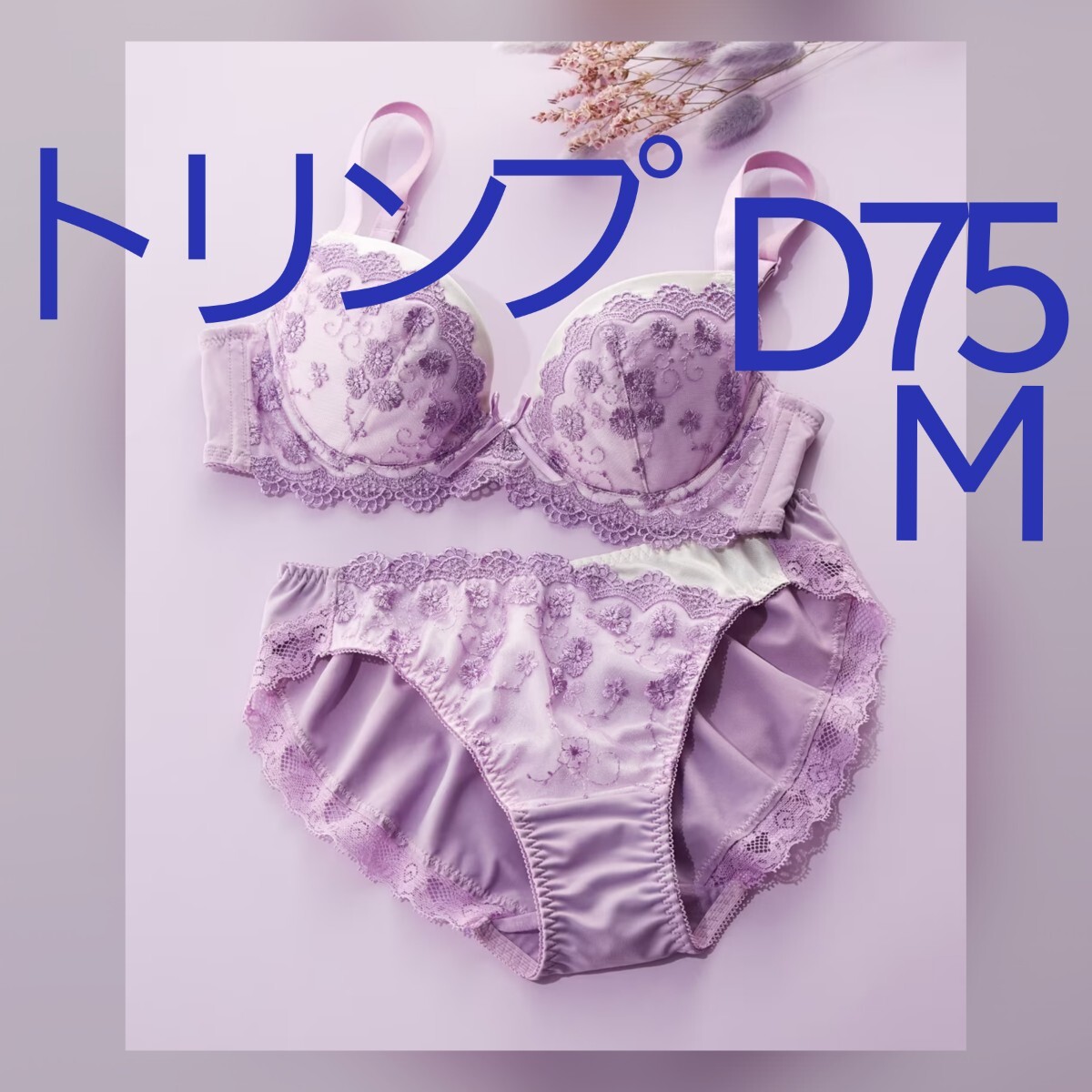 Yahoo!オークション - 500円スタート 5-41 新品 D75 M トリンプ ブラジ...