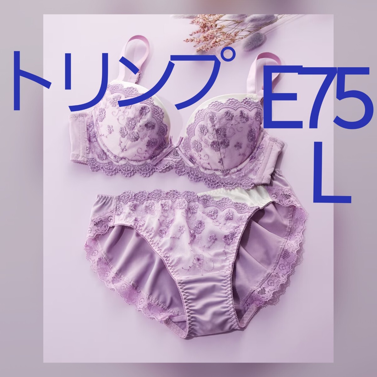 Yahoo!オークション - 500円スタート 3-24 新品 E75 L トリンプ ブラジ...