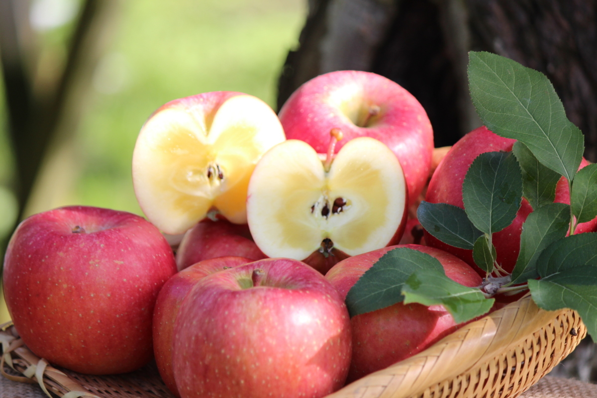 Yahoo!オークション - 予約 山形県産りんご「こうとく」約2kg6～13玉 1...