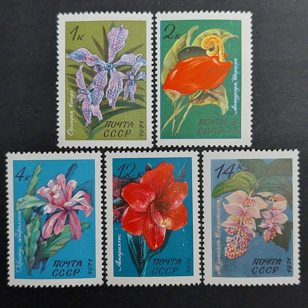 Yahoo!オークション - K136 ソビエト連邦切手「花切手5種完 花名 バン...