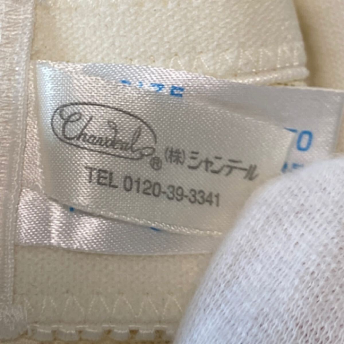 Yahoo!オークション - 未使用 chandeal シャンデール 補整下着 補正下...